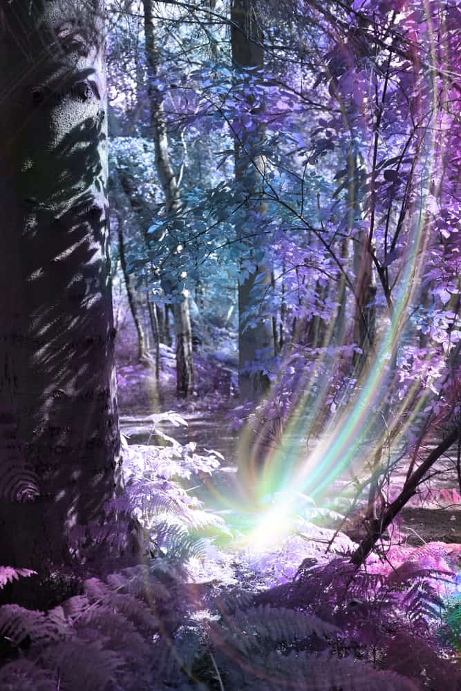 How to Access Akashic Records | Learn What are Akashic Records